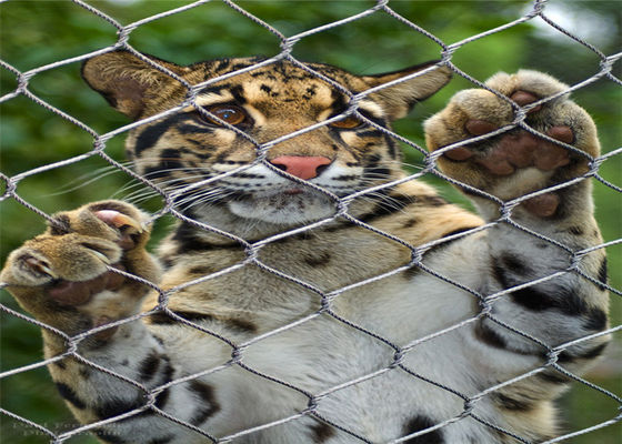 Stainless Steel Zoo Wire Mesh , Knitted Animal Enclosure Mesh Fence
