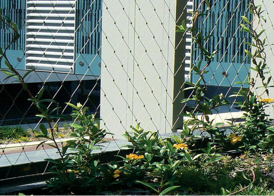 Buy wire trellis fencing, Good quality wire trellis fencing manufacturer
