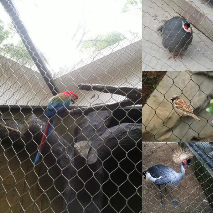 316 316l Stainless Steel Flexible Wire Mesh Netting For Bird Aviary