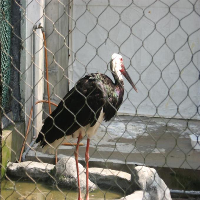 X Tend Pliable Bird Cage Wire Mesh Stainless Steel High Tensile Free Sample