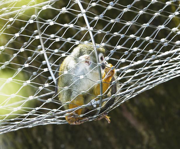 Hand Woven Stainless Steel Cable Netting Wire Mesh Monkey Enclosure SGS ...